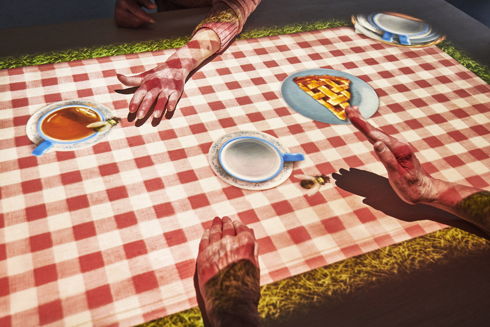 Fly Swatter | Tovertafel-game | Tover