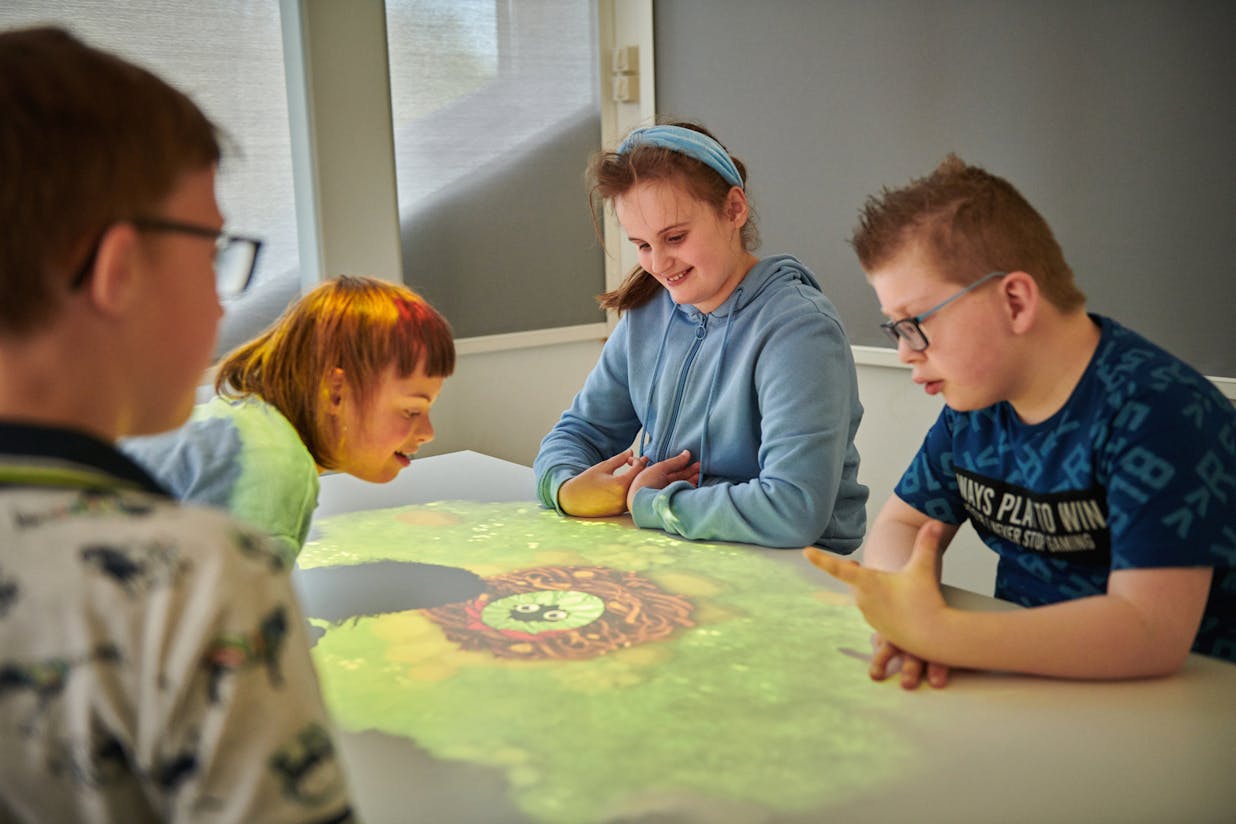 Sound Carousel | Tovertafel-game | Tover