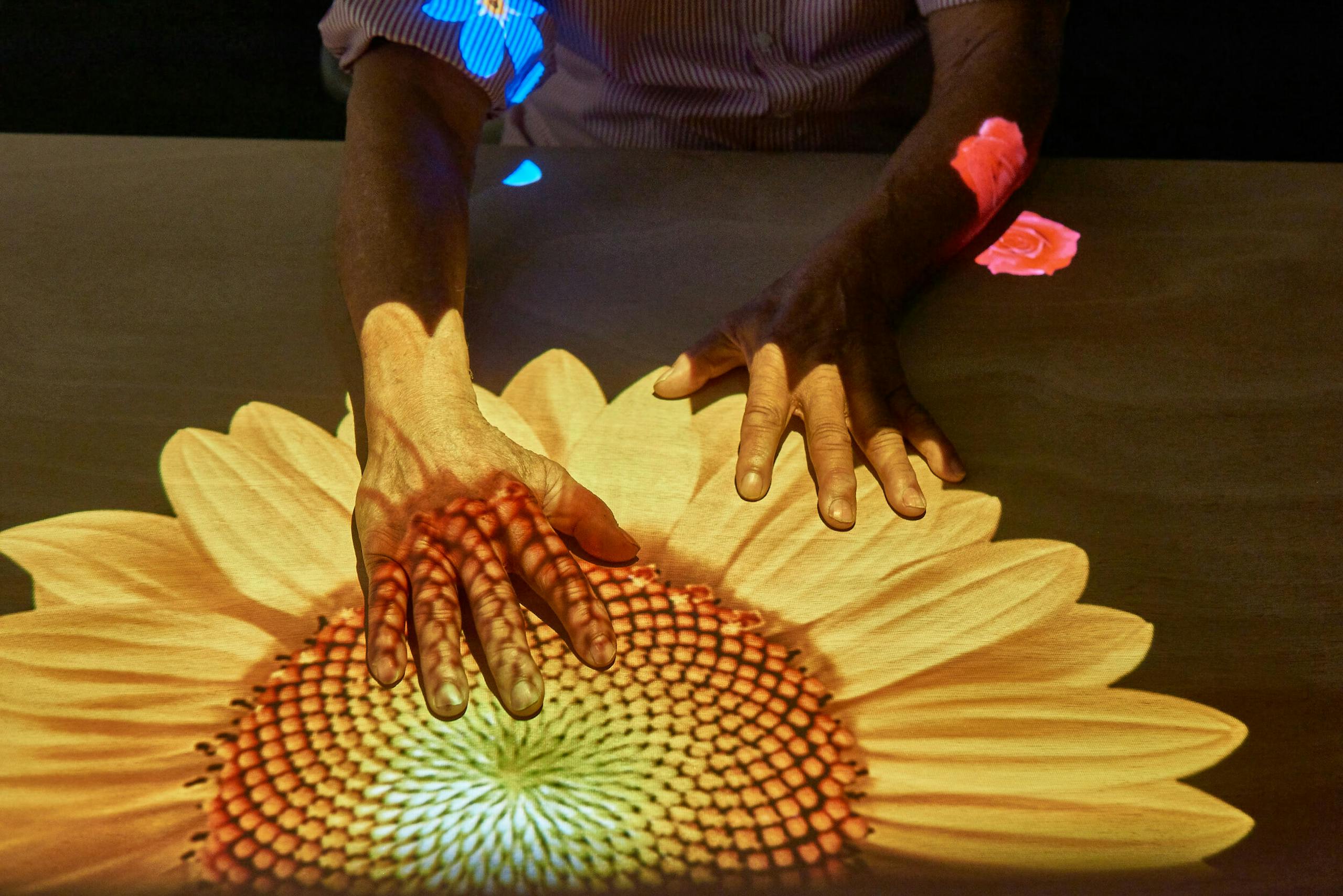 Innovating the care sector with the Tovertafel | Tover